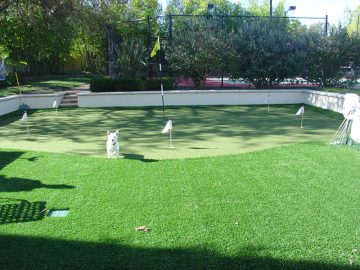 Backyard Putting Green Turf | Synthetic Turf International®