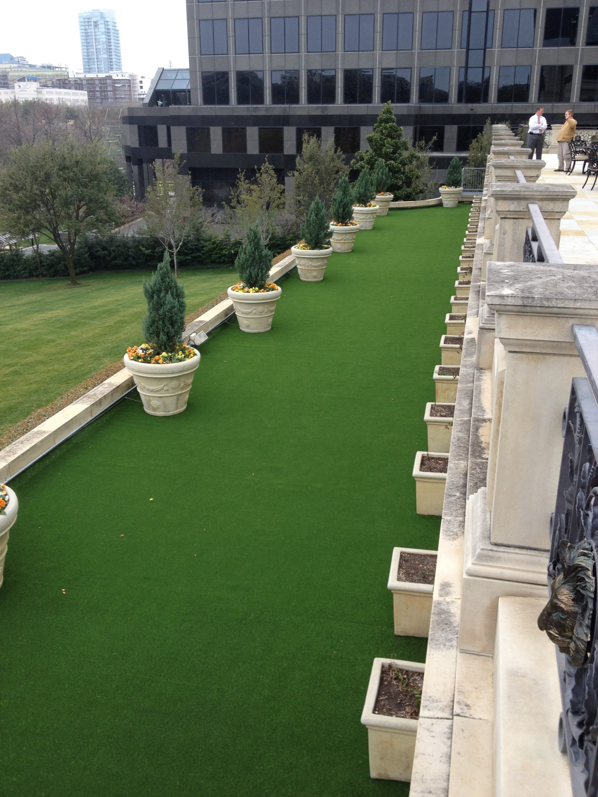 Blue Spruce Nursery - Synthetic Turf International