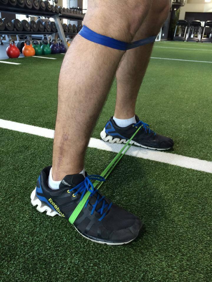 Indoor Training, Perfect For When You are Stuck indoors! - Synthetic ...